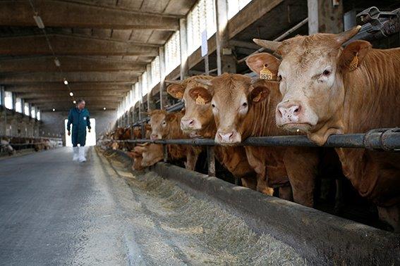 Agricoltura 4.0: Corteva Agriscience rende più sostenibile la filiera ...