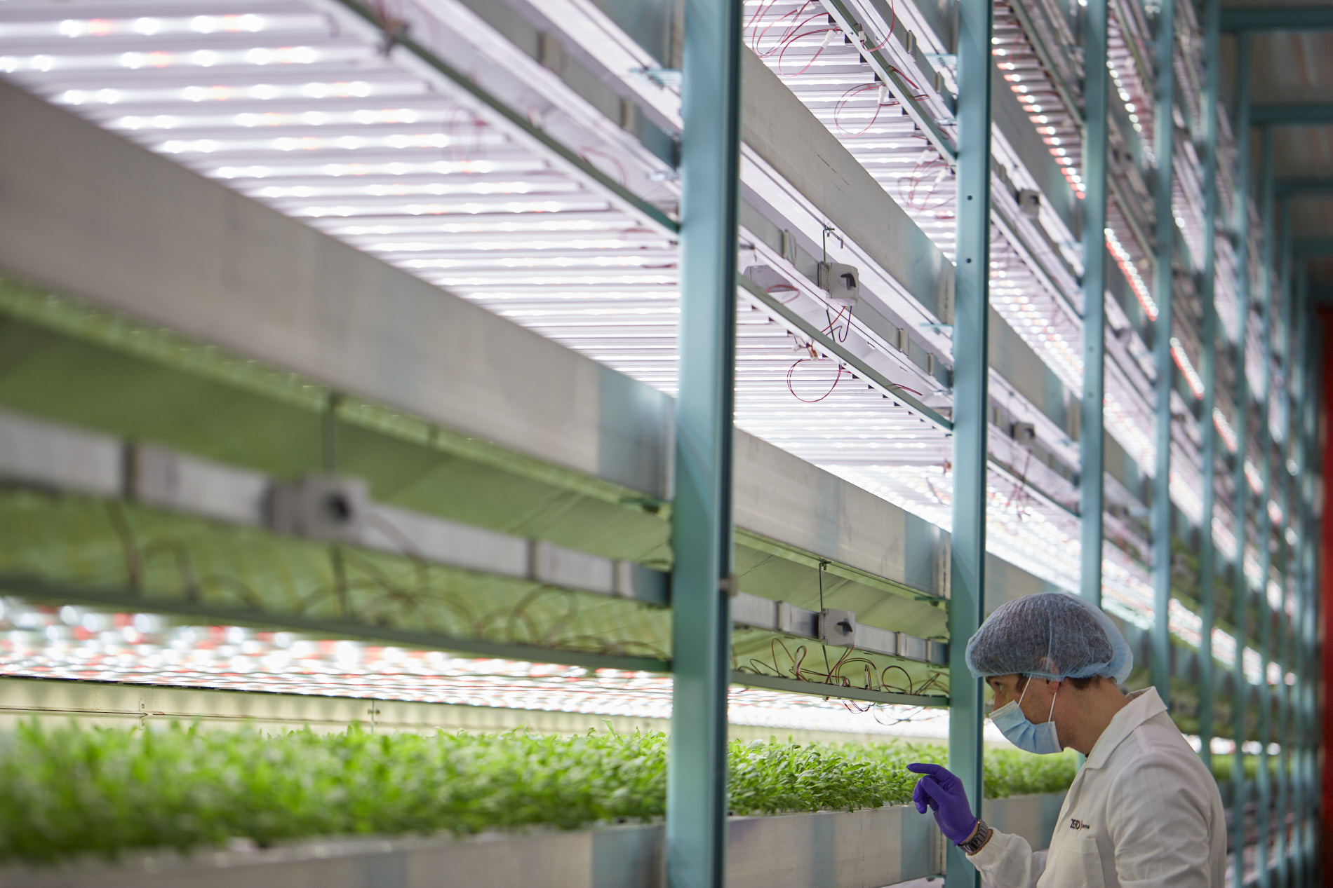 Agroalimentare sostenibile: nelle Vertical Farm ZERO, si produce a ...