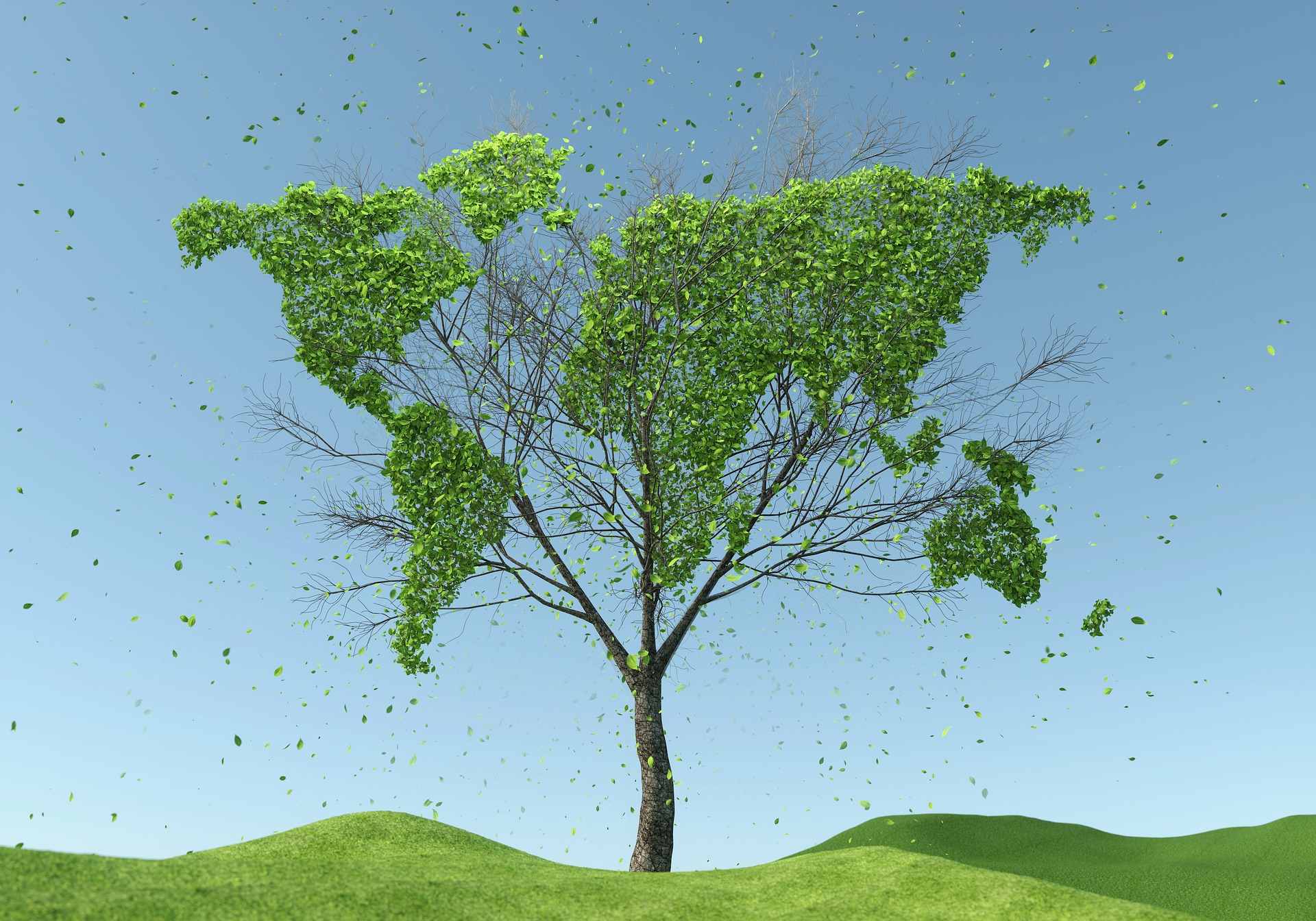 Planet Smart City con Tree-Nation: un albero per ogni dipendente