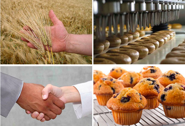 Sostenibilità: Csm Ingredients punta a diventare prima piattaforma ...