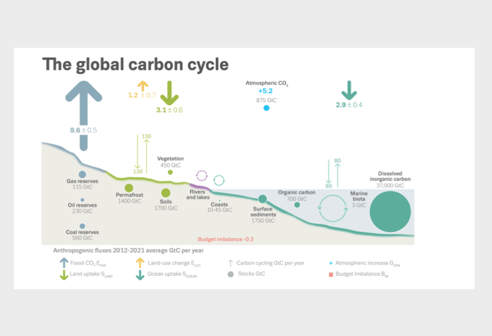 COP27 - DAY 5, la dura sentenza del Global Carbon Budget: "Il mondo è ...